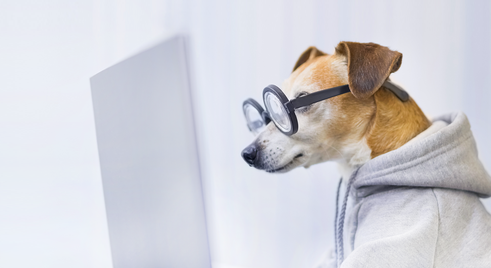 Podcast | Interact Analysis